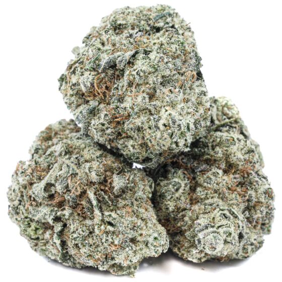 After Dark Dispensary | 24HR York Cannabis Shop